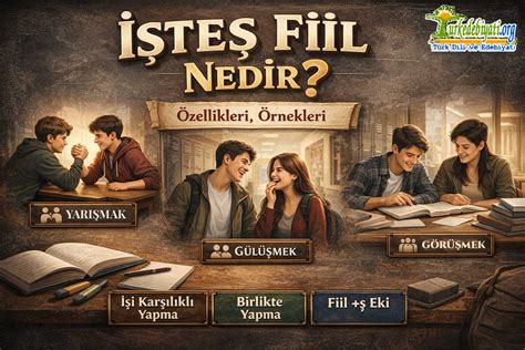 Ziya Paşa Türk Dili Ve Edebiyatı