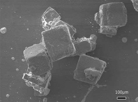 Dr As Electron Microscope Images