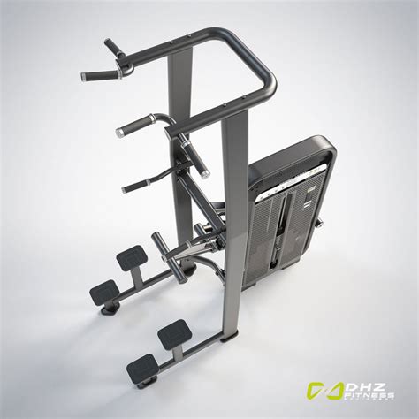 Dual Standing Assisted Dip Pull Up Machine Pin Loaded Professional
