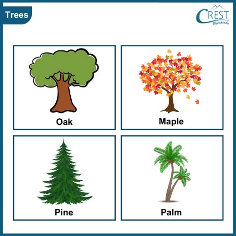 Names Of Shrubs And Trees 18 Plants For Under Trees Perennials