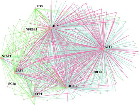 visualization of the grn inference by metasem on cancer and fibroblast