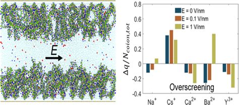 Specific Ion And Electric Field Controlled Diverse Ion Distribution And Electroosmotic Transport