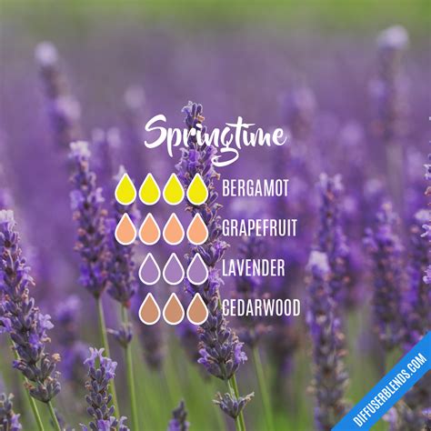 Springtime Springtime