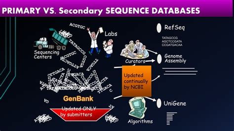 Major Databases In Bioinformatics Pptx Databases Computer Software And Applications
