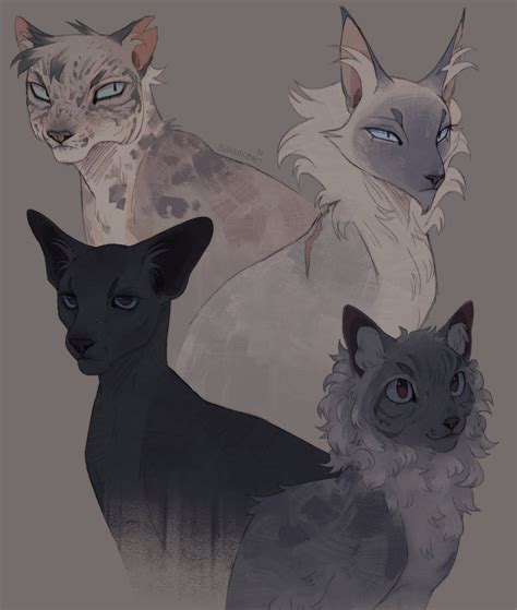 Bluestar Cinderpelt Crowfeather And Ashfur Warrior Cats And 2 More Drawn By Sharkbait