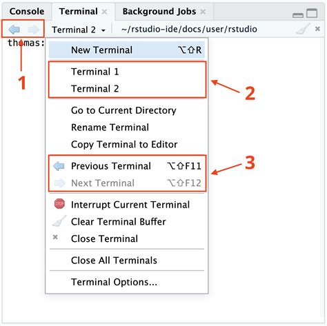 Terminal RStudio User Guide