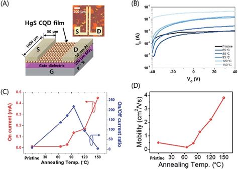 A Schematic Illustration Of Hgs Cqd Tft Device Structure And Optical Download Scientific