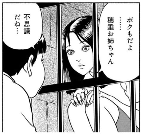 伊藤潤二『怪奇ひきずり兄弟』シリーズ見どころ解説【ネタバレ考察】 えむ異談