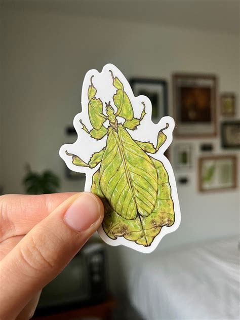 Walking Leaf Bug Insect Sticker Etsy