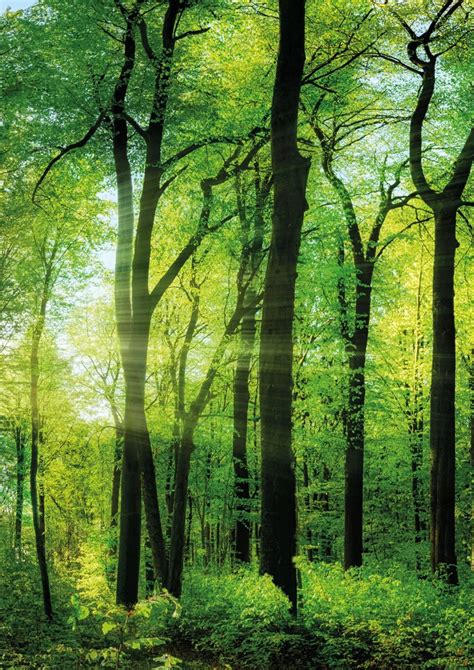 Nqa Iso 14001 Implementation Guide Pdf