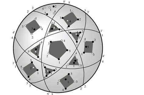 Euler Sphere For All Potential Solutions In A 2 Component System And 5 Download Scientific