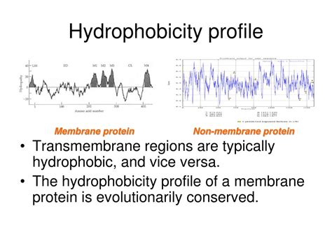 Ppt Predicting Protein Function From Heterogeneous Data Powerpoint