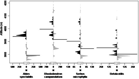 Seedling Sapling Density Of Treeline Tree Species In The Treeline Download Scientific Diagram
