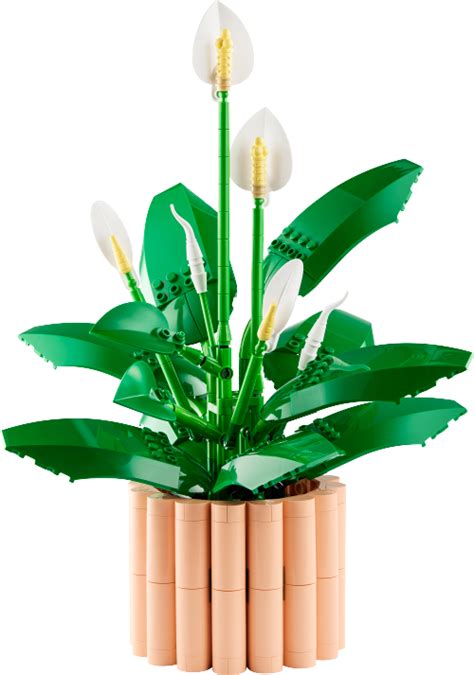 Lego Birds Of Paradise Instructions
