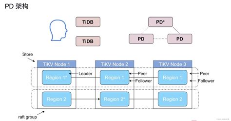 【tidb理论知识06】pd架构与作用 tidb pd csdn博客