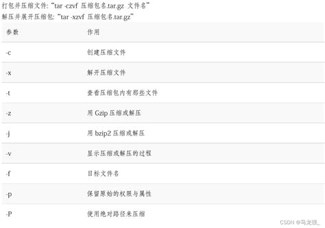 Linux使用基础命令 Csdn博客