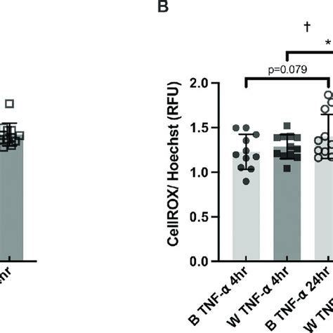 Cellrox Hoechst Ros Production Normalized To Living Cells In Huvecs