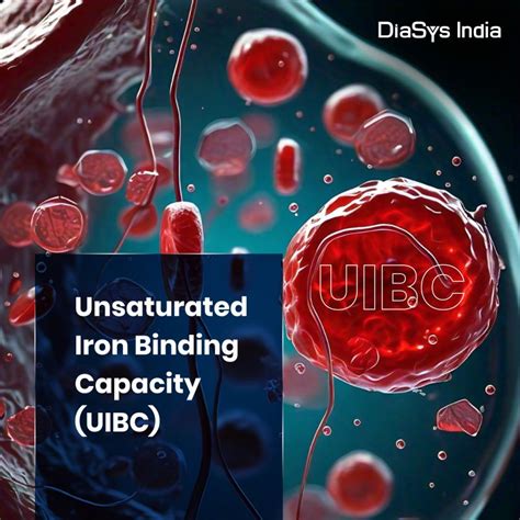 Diasysindia Diasys Diasysgmbh Anemia Ironprofile Hematology