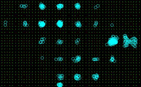 Github N Th Ng Vectorfields