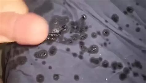 Hung Hippie Huge Cum Shot Record Size Actually Gay Big Cock Porn