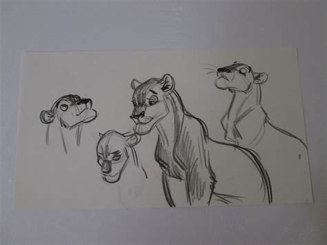 Lion King Nala Drawing
