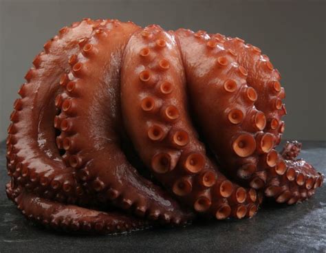 Pulpo O Pulpeiro
