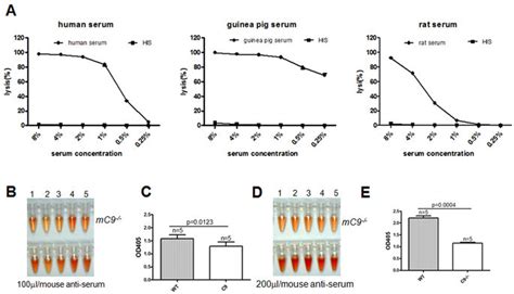 Deficiency In C9 Attenuates Complement Mediated Hemolysis In Vivo A