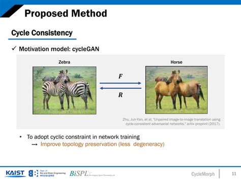 Cyclemorph Cycle Consistent Unsupervised Deformable Image Registration
