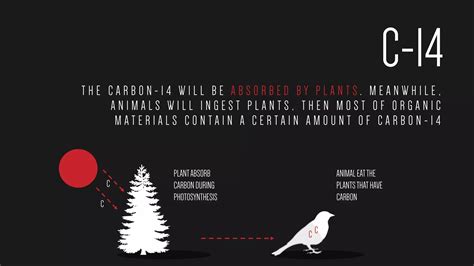 Radioactive Dating In Archeology Ppt