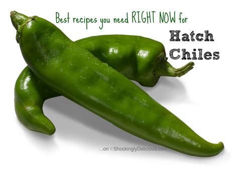 Best Recipes For Hatch Chiles — Shockingly Delicious