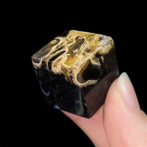 Fossilized Palm Root Cube 2 Cm