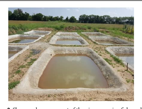 Fish Farming Pond Design