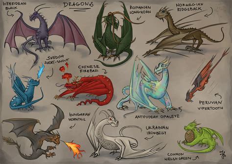 ArtStation - All Dragons from Harry Potter