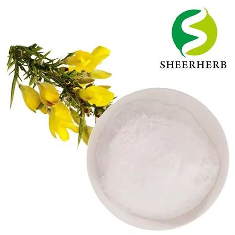 Cytisine Powder Manufacturers Suppliers Factory Low Price