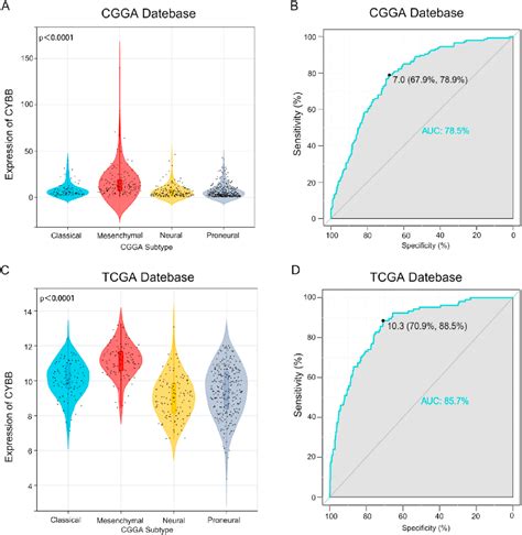 Figure 1 From Comprehensive Analysis Of Cybb As A Prognostic Marker And