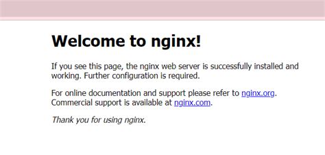 [aws] ngnix를 이용해 ssl 프로토콜 적용하기