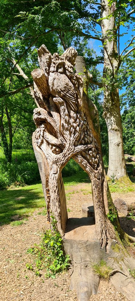 Heddon Valley Guide Scenic Walks And Hidden Gems