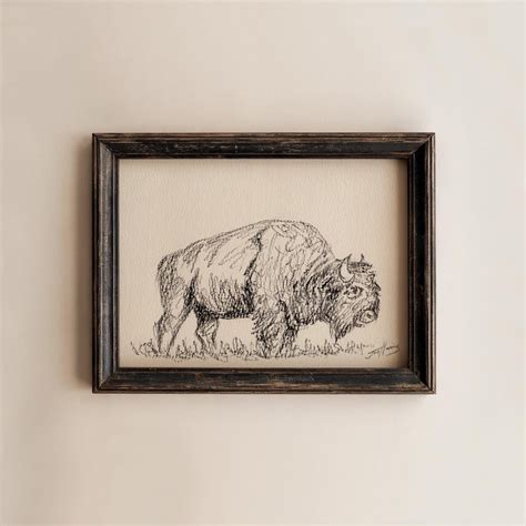Original Buffalo Drawing Sketch American Bison Art Minimal Charcoal