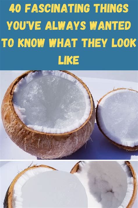40 Fascinating Things Youve Always Wanted To Know What They Look Like