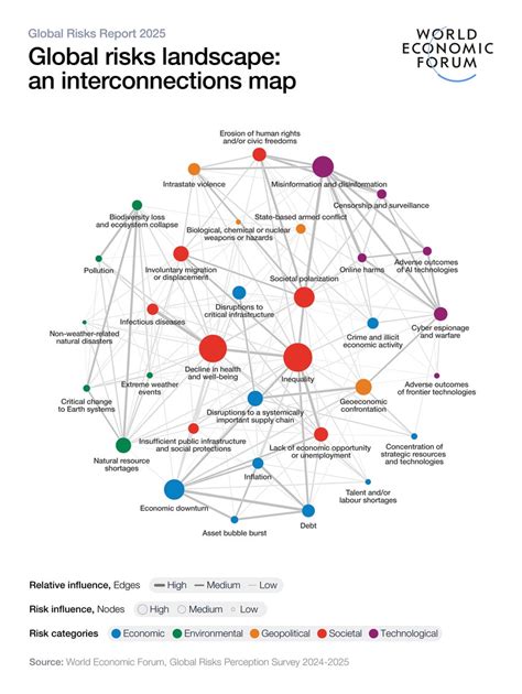 Global Risks Report 2025 World Economic Forum
