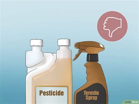 Kill Flying Termites 3 Ways To Get Rid Of Alates And Their Colony