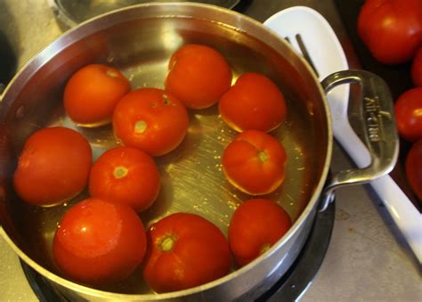 How To Skin Tomatoes 5 Steps With Pictures Instructables
