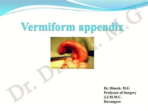 Exploratory Laparotomy Pdf
