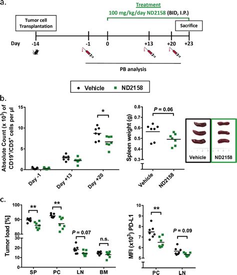 Nd2158 Delays Cll Progression In The Tcl1 Adoptive Transfer Mouse