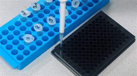 Video Limit Of Detection Lod Assay To Check The Sensitivity Of