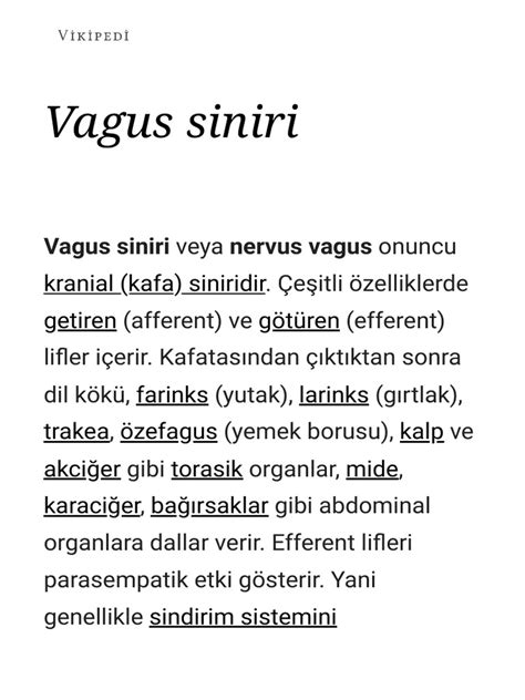 Vagus Siniri Pdf