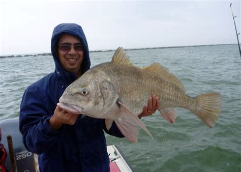 How To Catch Black Drum