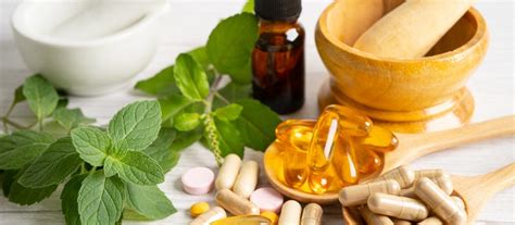 Botanical Supplements Market Size And Projection