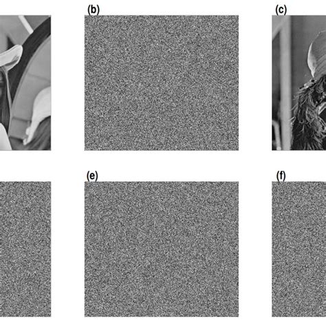 Key Sensitivity Analysis A Plain Image B The Encrypted Image C