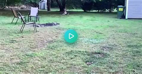 Bloop Album On Imgur